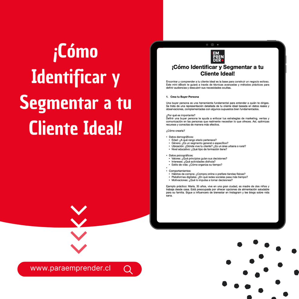 ¡Cómo Identificar y Segmentar a tu Cliente Ideal – ParaEmprender.cl